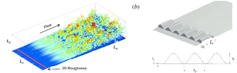 A The Numerical Setup And The Instantaneous Visualization Of The