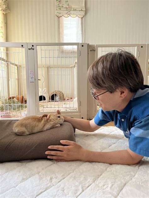 羽生善治 On Twitter Fortherabbit Rabbit 羽生善治 うさぎと暮らす うさぎのいる生活 もふもふ