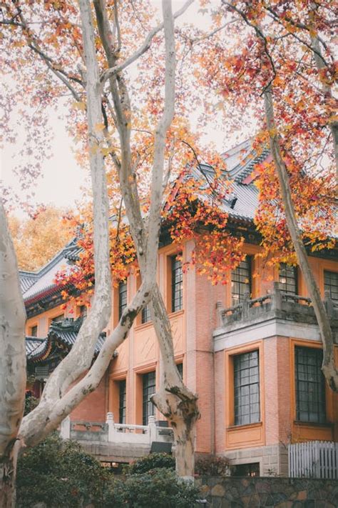 有关户外 东方风格 中國 中國建築 亚洲文化 亞洲建築 优雅的设计 传统建筑 南京 历史建筑 历史景点 古建筑 和平