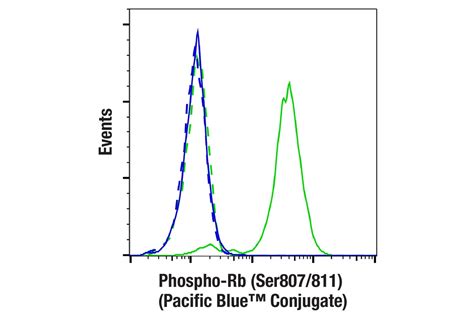 Phospho Rb Ser807811 D20b12 Xp® Rabbit Mab Pacific Blue