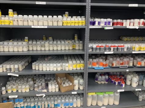 Protist Prophets Preparing Forams For Picking Living Oceans Foundation