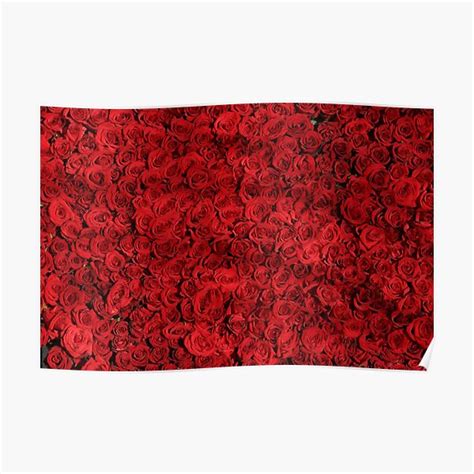 Red Roses Poster For Sale By Zip Zup Redbubble