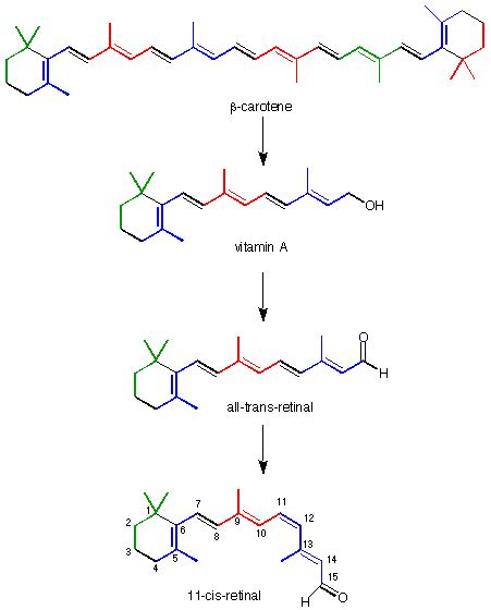 Isoprene Units Terpenes Terpenes Mcat Chart