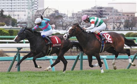【スプリングs】鼻差2着惜敗のアライバル、脚もとに気を使い栗田師「おそらく皐月賞はパス」：中日スポーツ・東京中日スポーツ
