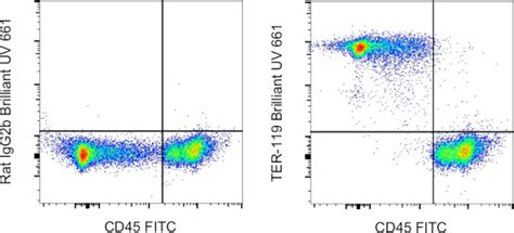 Ter 119 Monoclonal Antibody Ter 119 Brilliant Ultra Violet™ 661 376