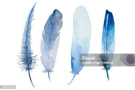 Ensemble Des Plumes Bleues Daquarelle Sur Le Fond Blanc Plume Doiseau