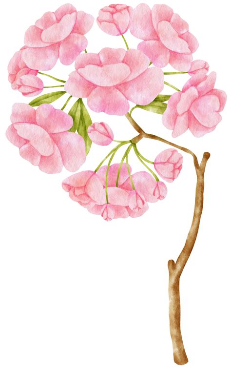 Pink Flower Watercolor Hand Painted 9661534 Png