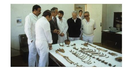 ¿por Qué Josef Mengele Es El Criminal De Guerra Nazi Más Conocido