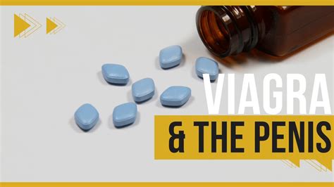 🔴 What Viagra Does To The Penis How Viagra Works Youtube