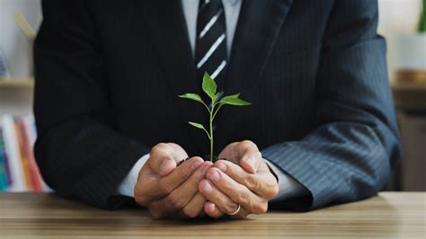 Hr And Sustainability What Does Csrd Esrs S1 Mean For Your Workforce
