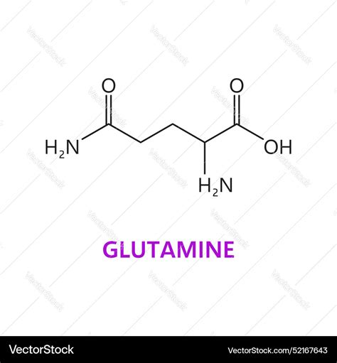 Glutamine Amino Acid Chemical Molecule Structure Vector Image