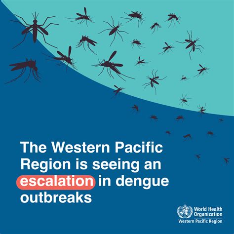 Dengue Outbreak Response In The Western Pacific Region