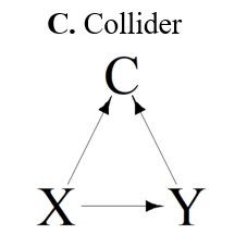 Example Causal Models Download Scientific Diagram