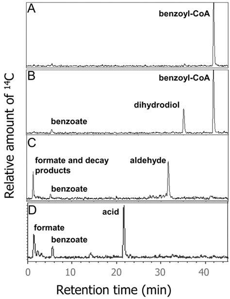 Hplc Separations Of Ring ¹⁴c6 Benzoyl Coa And Products Resulting From