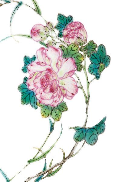枝枝花图片 枝枝花和栀子花 枝孑花的图片 大山谷图库