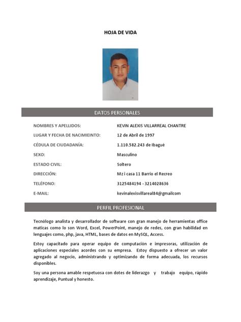 Hoja De Vida Pdf Ingeniería De Software Desarrollo De Software