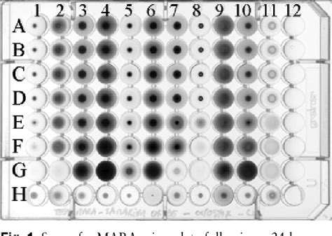 Figure 1 From Influence Of Sediment Grain Size On Elutriate Toxicity Of