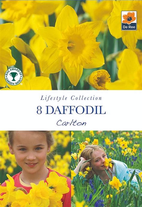 Daffodil Carlton