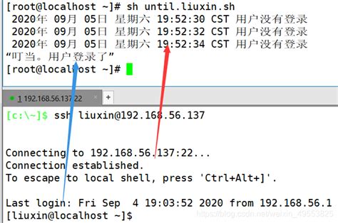 Linux Shell编程及自动化运维实现—第3章—循环。linuxfor循环执行ping Csdn博客