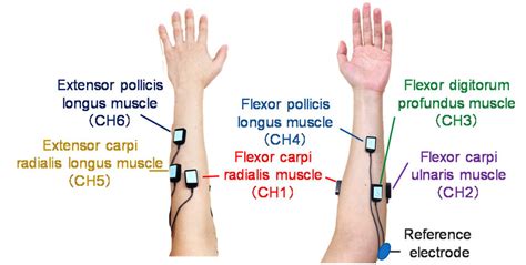 Electrode Positions The Positions Of The Six Electrodes Are Selected