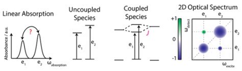 Two Dimensional Optical Spectroscopy Laser Chemistry Spectroscopy