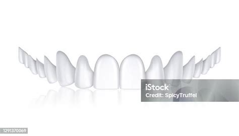 흰색 틀니 현실적인 치아 윗턱 구강 관리 및 위생 보철 또는 예방 및 치료를 이식합니다 치과 진료소 및 의료 서비스 벡터 격리