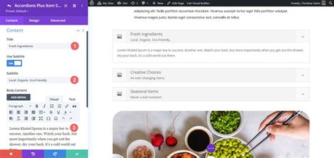 Divi Plugin Highlight Divi Accordions Plus