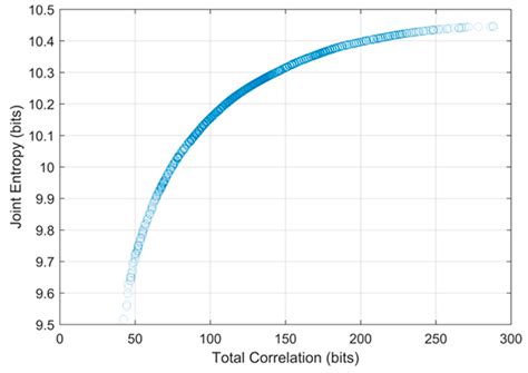 Introducing The Ensemble Based Dual Entropy And Multiobjective