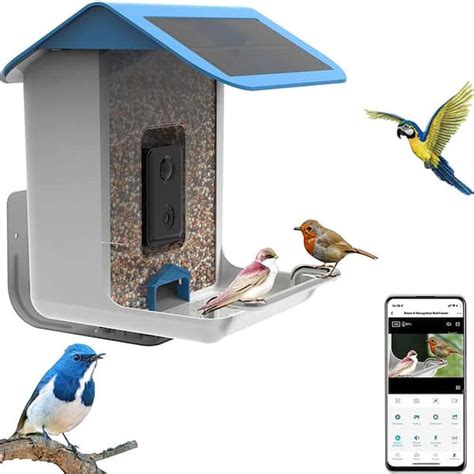 Bird Feeder With Camera Bird Feeders The Home Depot