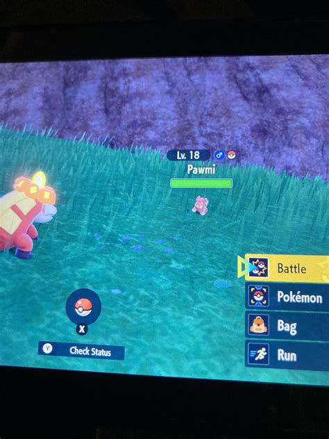Got My First Shiny Rpokemonscarletviolet