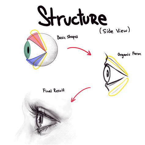 Eye Side View Drawing