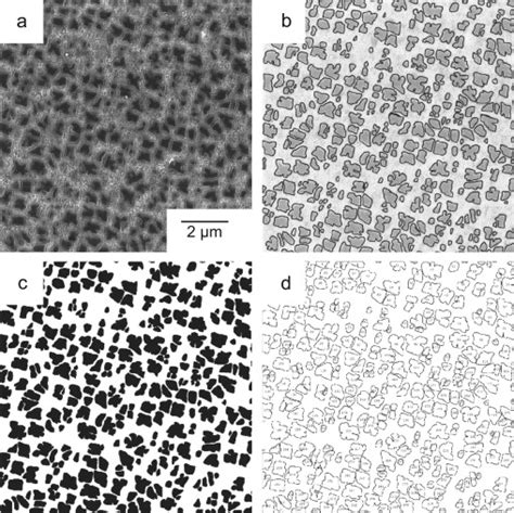 Example Of Microstructural Characterisation Showing A The Original