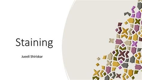 Types Of Staining Techniques In Microbiology Pdf