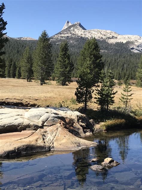 Yesterdays View From Tuolumne Meadows In Yosemite Sunrise Peak In