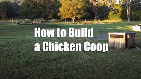 How To Build A Chicken Coop Forestry Reviews