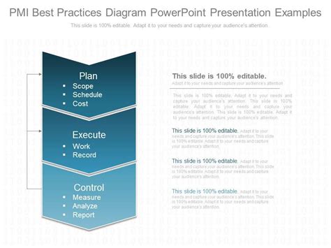 Ppt Pmi Best Practices Diagram Powerpoint Presentation Examples Powerpoint Slides Diagrams