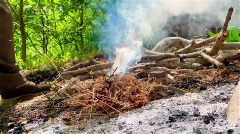 ژیانی لادی Zhiani Gond Youtube