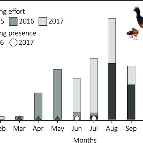 Sampling Effort Y Axis In Sesc Baía Das Pedras Park Northern Download Scientific Diagram