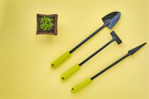 바질 모종이 있는 토탄 냄비 홈 가든 레이크 및 삽을위한 작은 도구 0명에 대한 스톡 사진 및 기타 이미지 0명 가정 생활