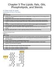 Understanding Lipids Fats Oils And Their Vital Roles Course Hero