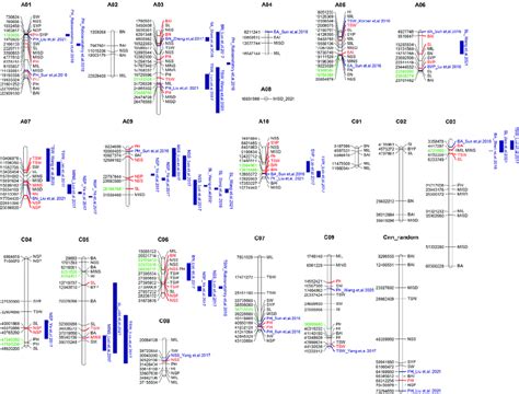 Snpqtl Localization On The Chromosome The Physical Positions Of