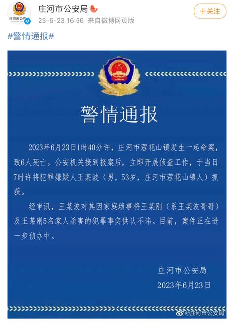 大连庄河一起命案致6人死亡 警方发布通报王某波蓉花山镇王某刚