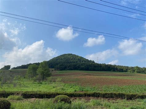 园区环境沈阳百贯山松陵公墓