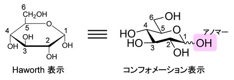 第2話 糖鎖を構成する糖 医化学創薬株式会社