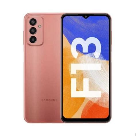 Samsung Galaxy F13 Cellular Kenya