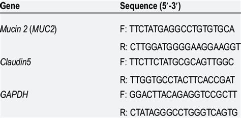 Target Genes And Primers Sequence Download Scientific Diagram