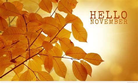 November Wallpapers Hd Free Download Pixelstalknet