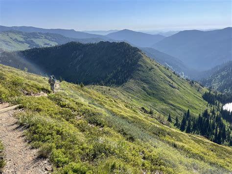 A Day In The Field Roving Restoration Crew — Great Burn Conservation