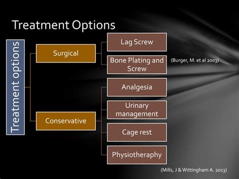 Multiple Pelvic Fracture Repair In A Maine Coon Ppt
