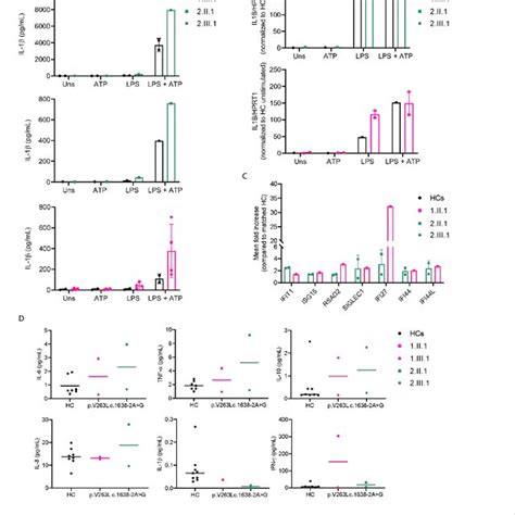 Mrna And Protein Expression Analysis Of Both Nfkb1 Mutations A